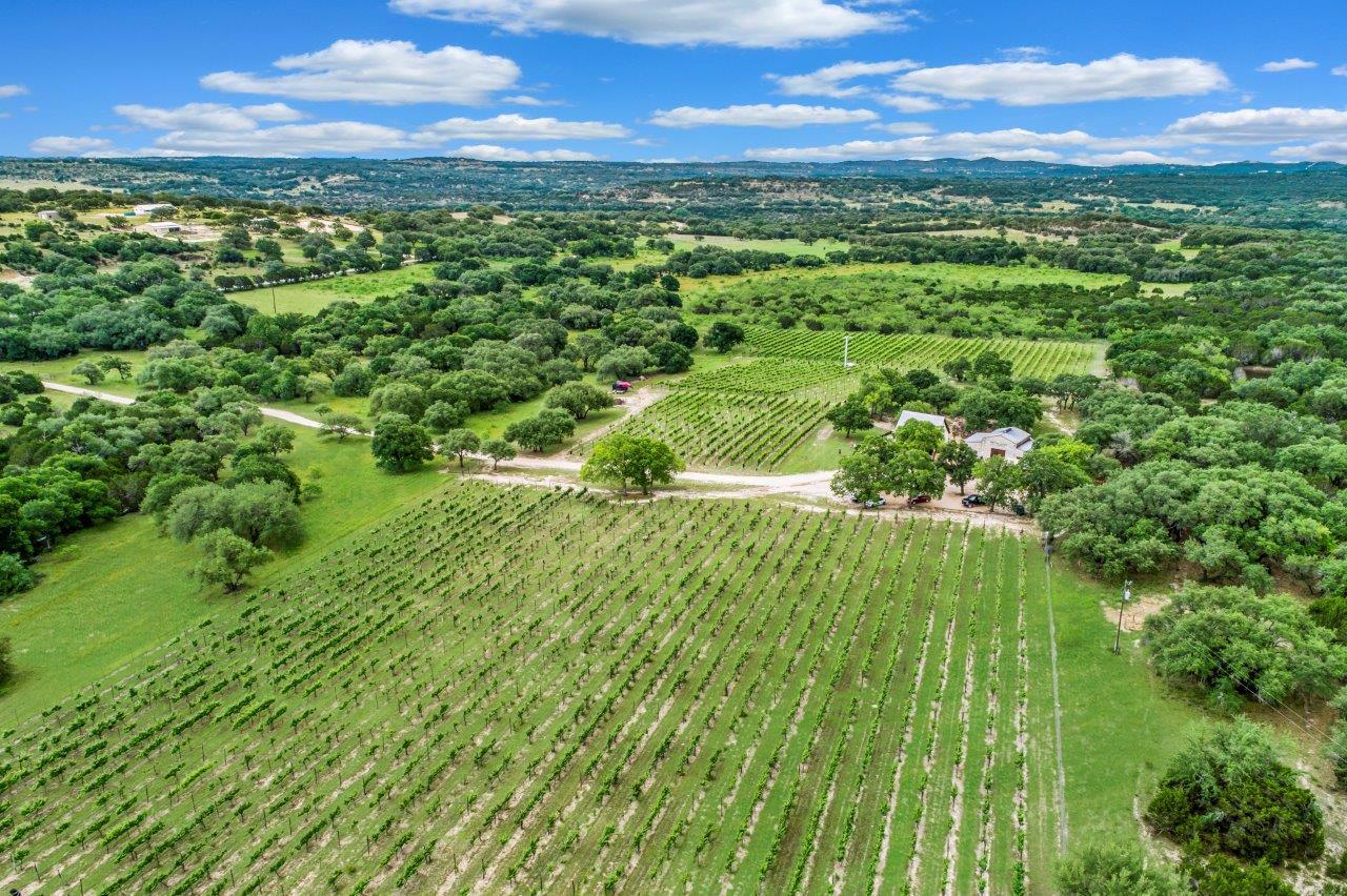 A 65 ACRE VINEYARD | Texas Luxury Homes | Mansions For Sale | Luxury ...